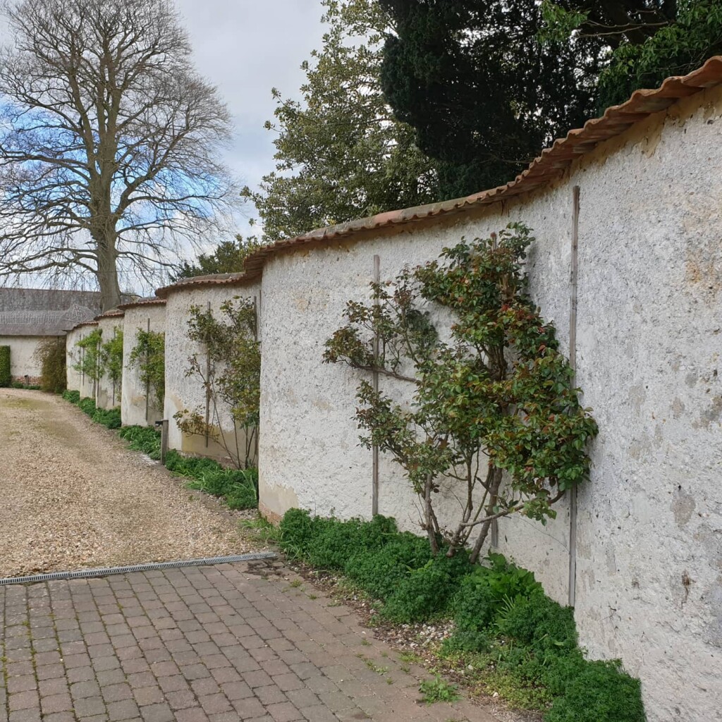 Lime Render, Lime Mortar, Lime Plaster, Limewash, NHL | Lime Stuff